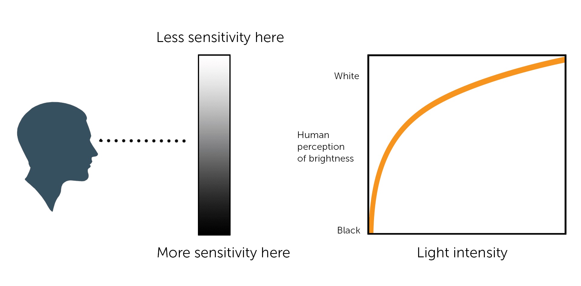 Gamma Correction PIXELsHAM